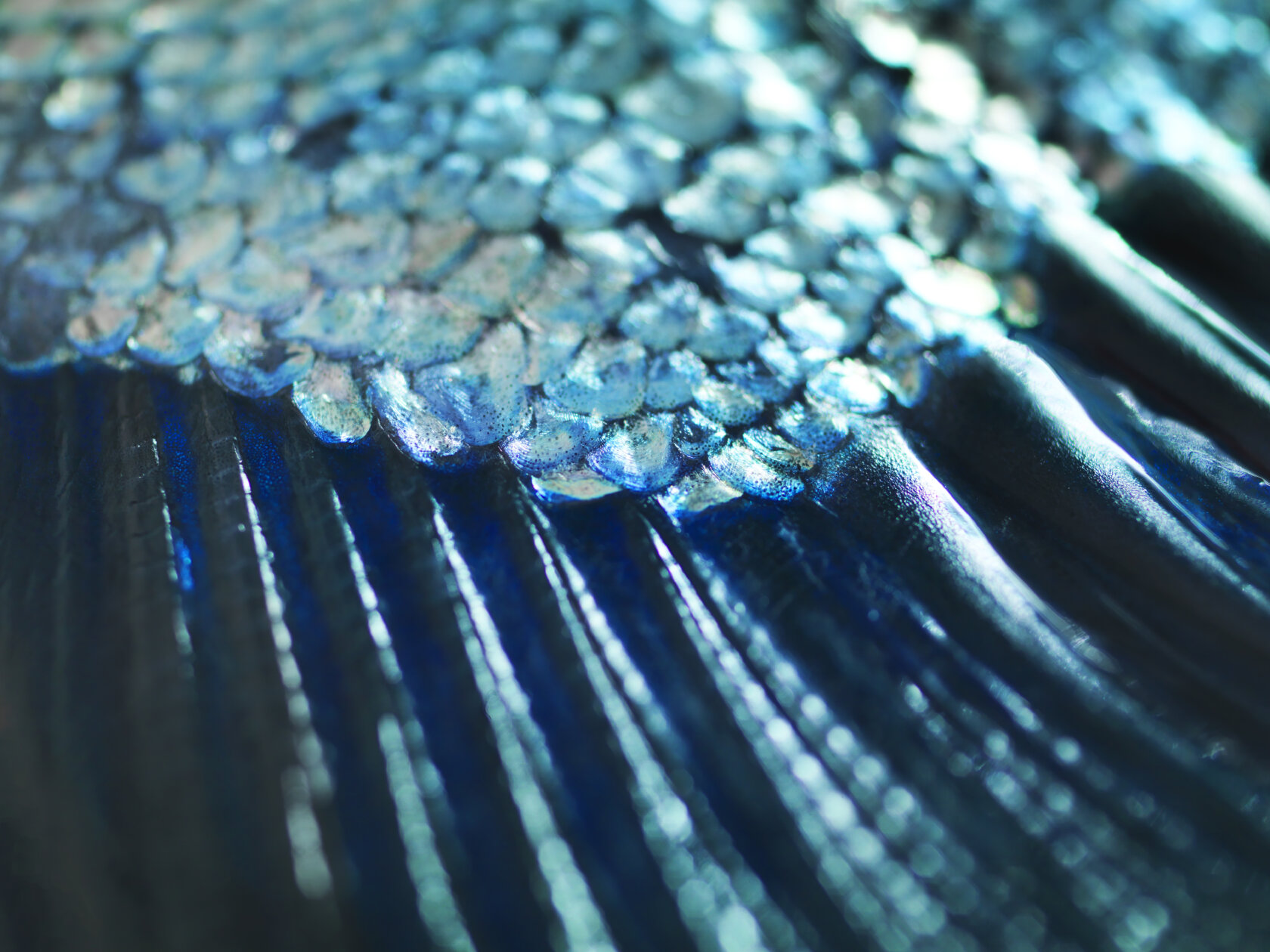 Join us at HavExpo 2024 in Bergen | May 6 - 8 - Benchmark Genetics