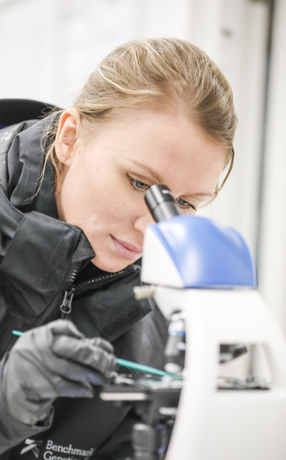 Vil du jobbe med kvalitetsarbeid i oppdrettsnæringen? - Benchmark Genetics