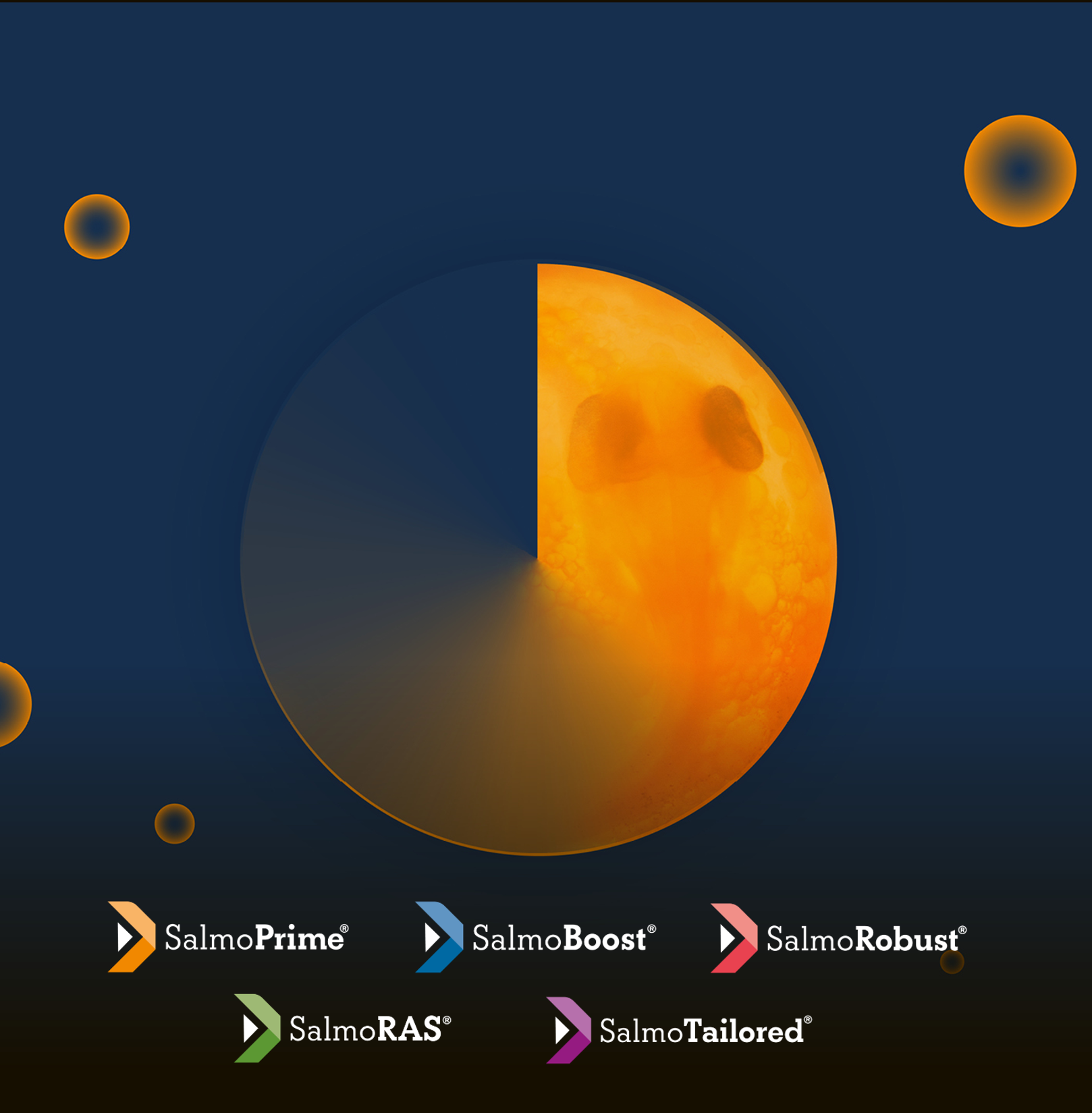 What Matters Most When Choosing Salmon Ova? - Benchmark Genetics