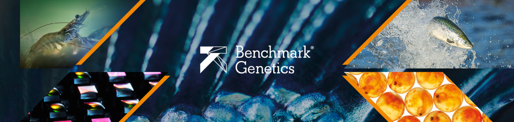 Benchmark Genetics Embarks on a New Chapter with Novo Holdings ...