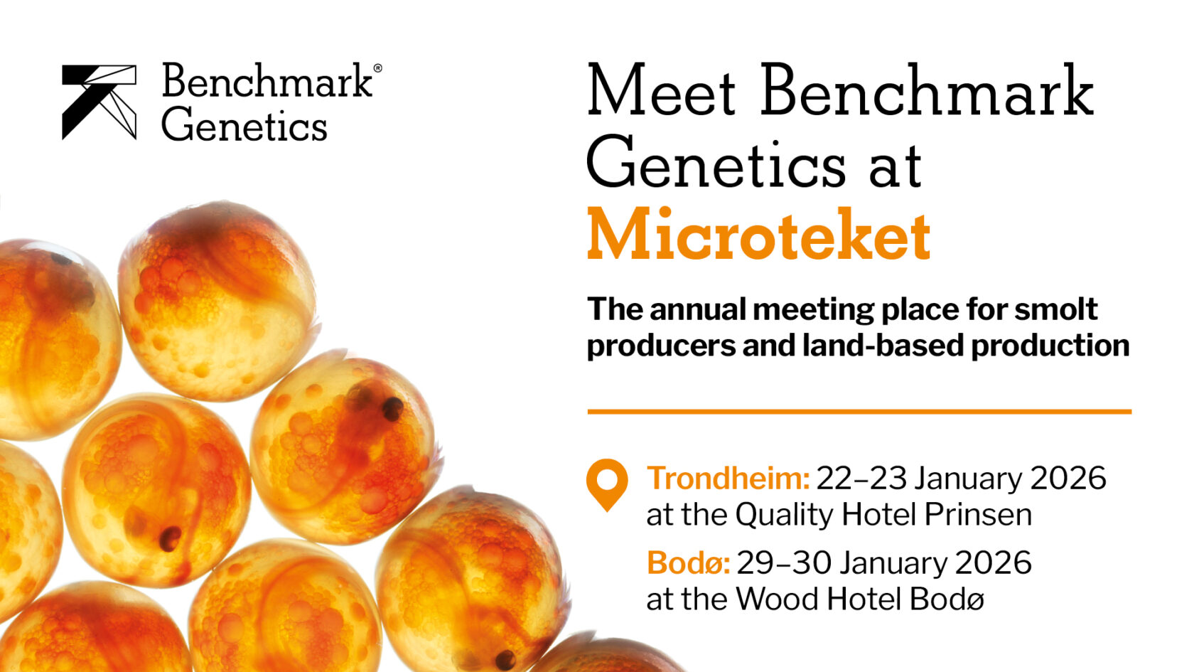 Meet Benchmark Genetics at Microteket’s 25-Year Celebration - Benchmark ...