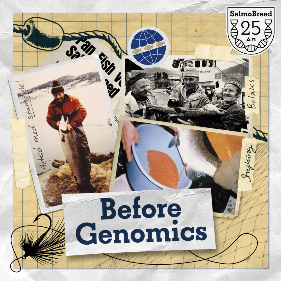 SalmoBreed’s Origins: Tracing 50 Years of Innovation in Salmon Genetics ...